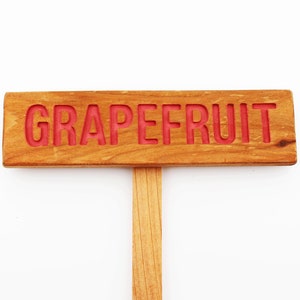 GRAPEFRUIT Rustic Tree Sign, Hand Routed, Citrus Tree Marker, Wooden ...