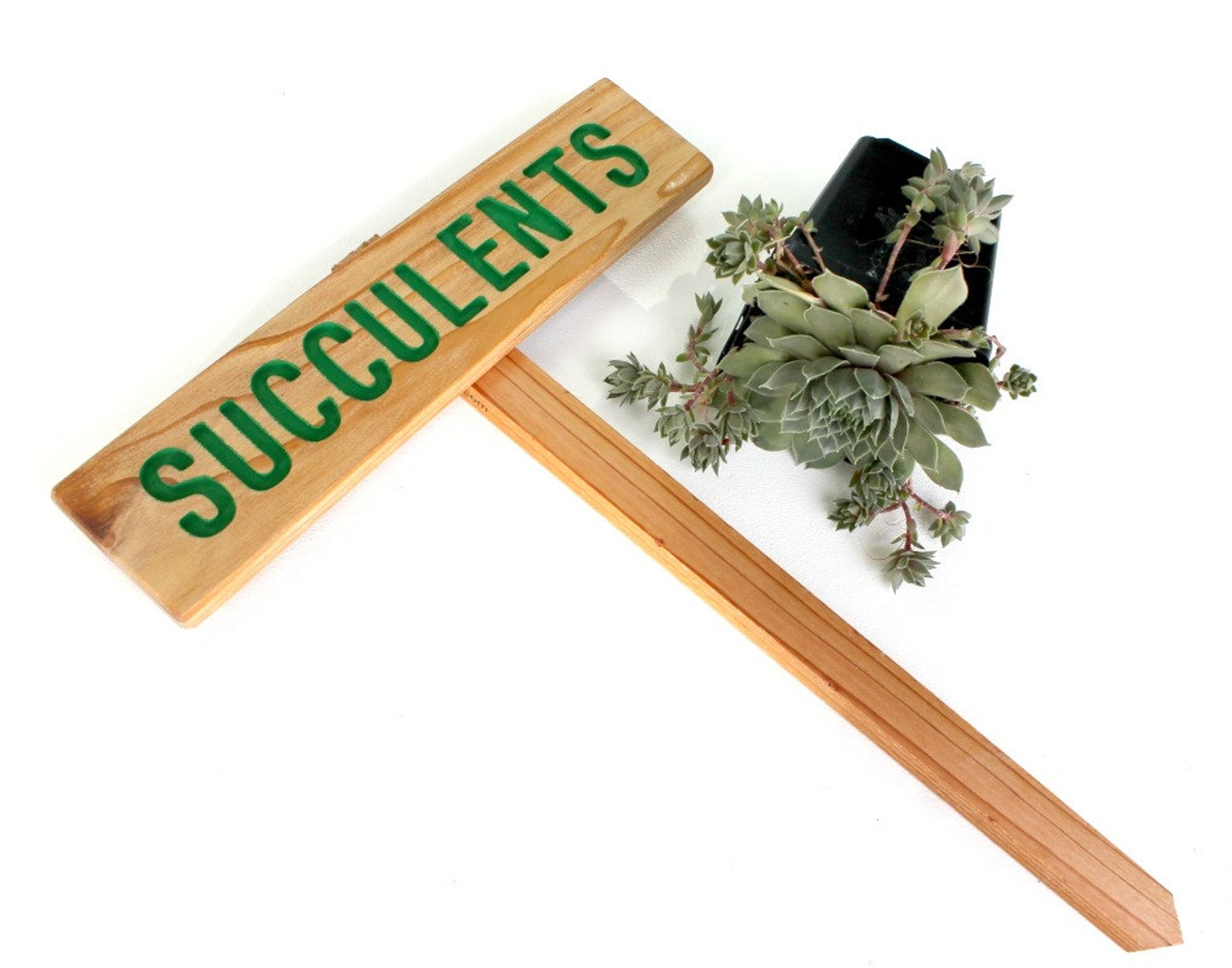 SUCCULENTS Garden Marker Plant Sign Indoor Garden Signage - Etsy