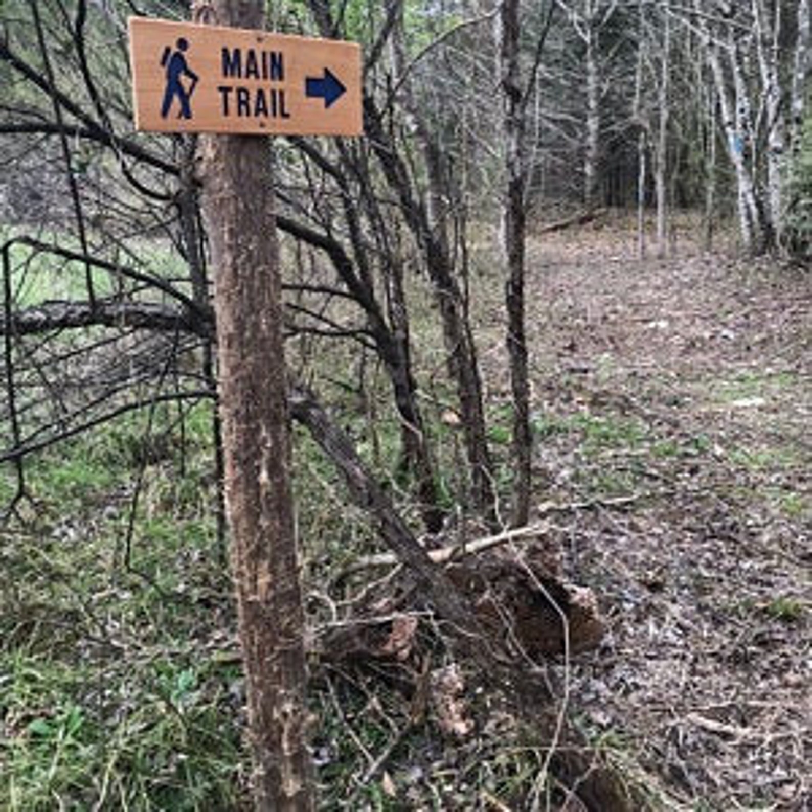 Hiking Trail Signs Yard Art Outdoor Marker Camping Signage | Etsy