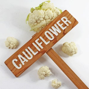 CAULIFLOWER Garden Sign, Outdoor Sign, Yard Art, Garden Decoration ...