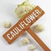 CAULIFLOWER Garden Sign Outdoor Sign Yard Art Garden - Etsy