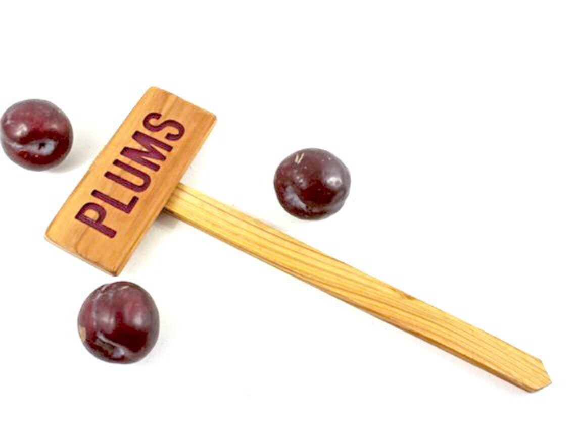 PLUMS Sign, Fruit Tree Sign, Hand Routed, Garden Sign, Orchard Marker ...