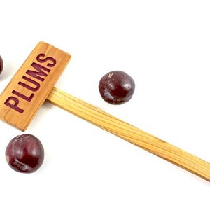 PLUMS Sign, Fruit Tree Sign, Hand Routed, Garden Sign, Orchard Marker ...
