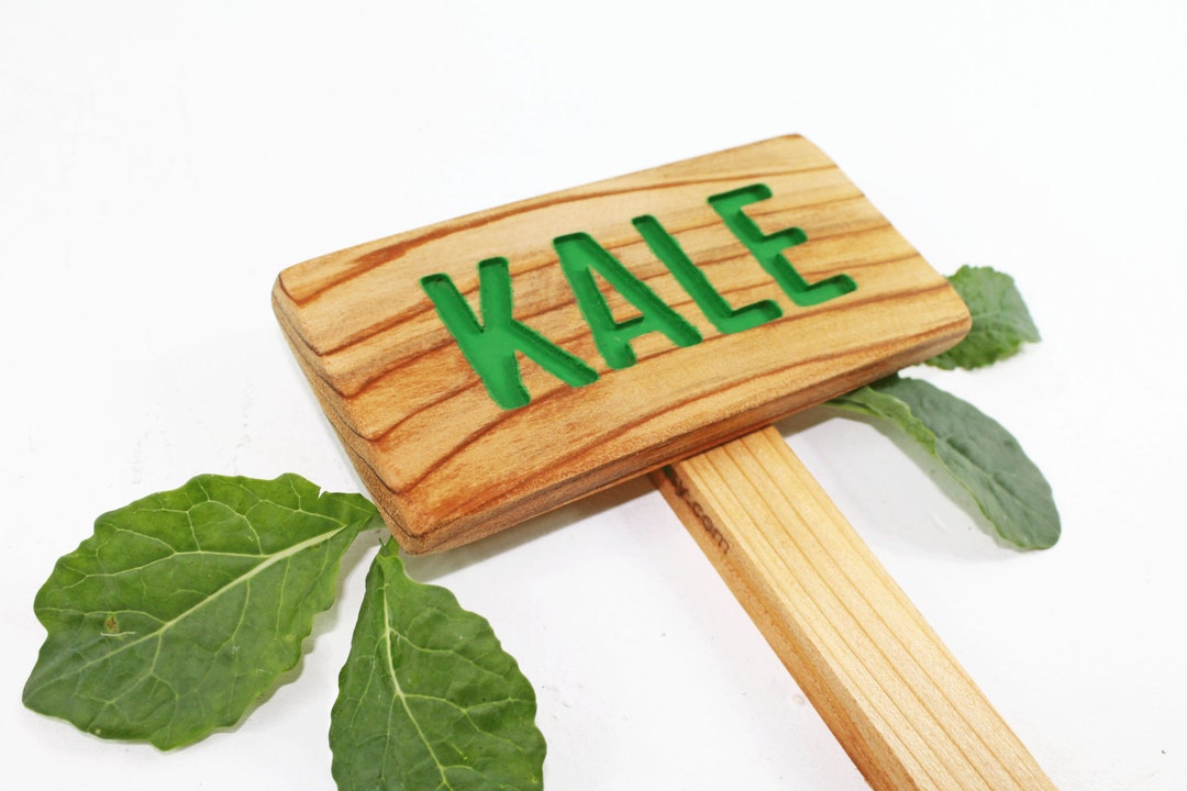 KALE Garden Sign, Painted & Oil Sealed Cedar Wood: Hand Routed, Plant ...