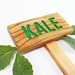 KALE Garden Sign, Painted & Oil Sealed Cedar Wood: Hand Routed, Plant ...