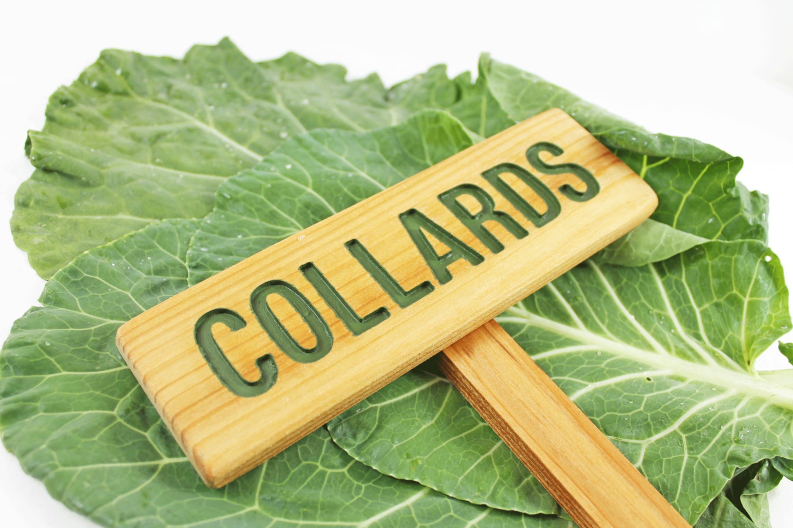 COLLARDS Garden Sign Cedar Wood Routed Sign Collard Green | Etsy