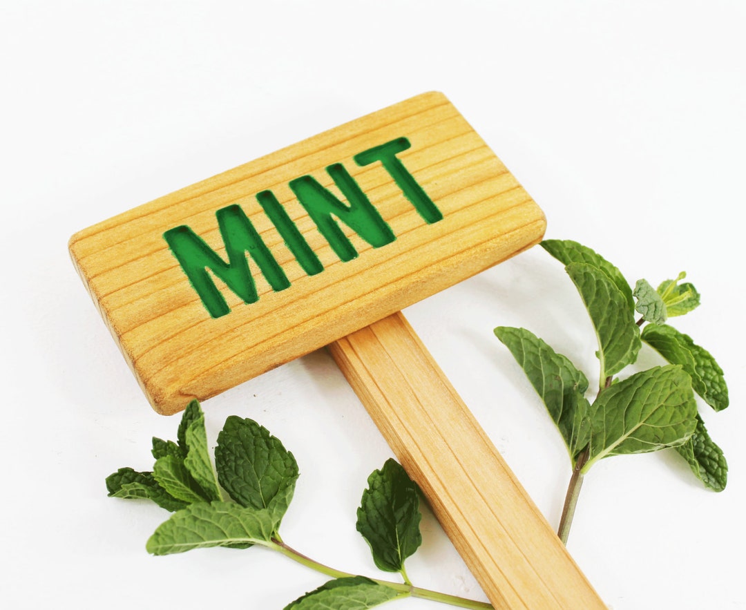 MINT Garden Sign, Painted & Oil Sealed Cedar Wood: Hand Routed Herb ...
