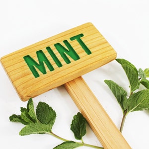 MINT Garden Sign, Painted & Oil Sealed Cedar Wood: Hand Routed Herb ...