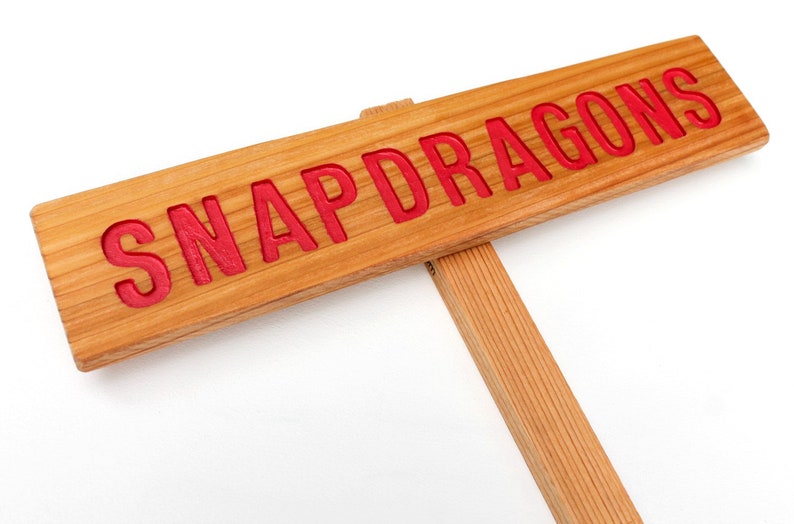 SNAPDRAGONS Garden Sign Flower Marker Outdoor Sign Floral - Etsy