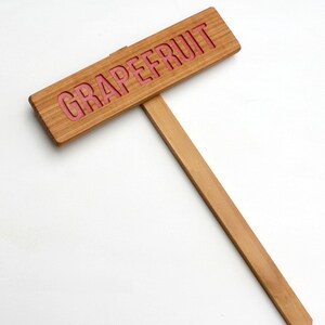 GRAPEFRUIT Rustic Tree Sign, Hand Routed, Citrus Tree Marker, Wooden ...