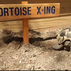 TURTLE X-ING Caution Sign, TORTOISE Yard Sign, Hand Routed Green Sign ...