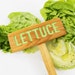 LETTUCE Garden Sign, Outdoor Marker, Yard Art, Vegetable Sign, Veggie ...