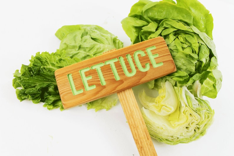 LETTUCE Garden Sign Outdoor Marker Yard Art Vegetable Sign - Etsy