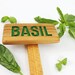 BASIL Herb Garden Sign, Painted & Oil Sealed Cedar Wood: Hand Routed ...