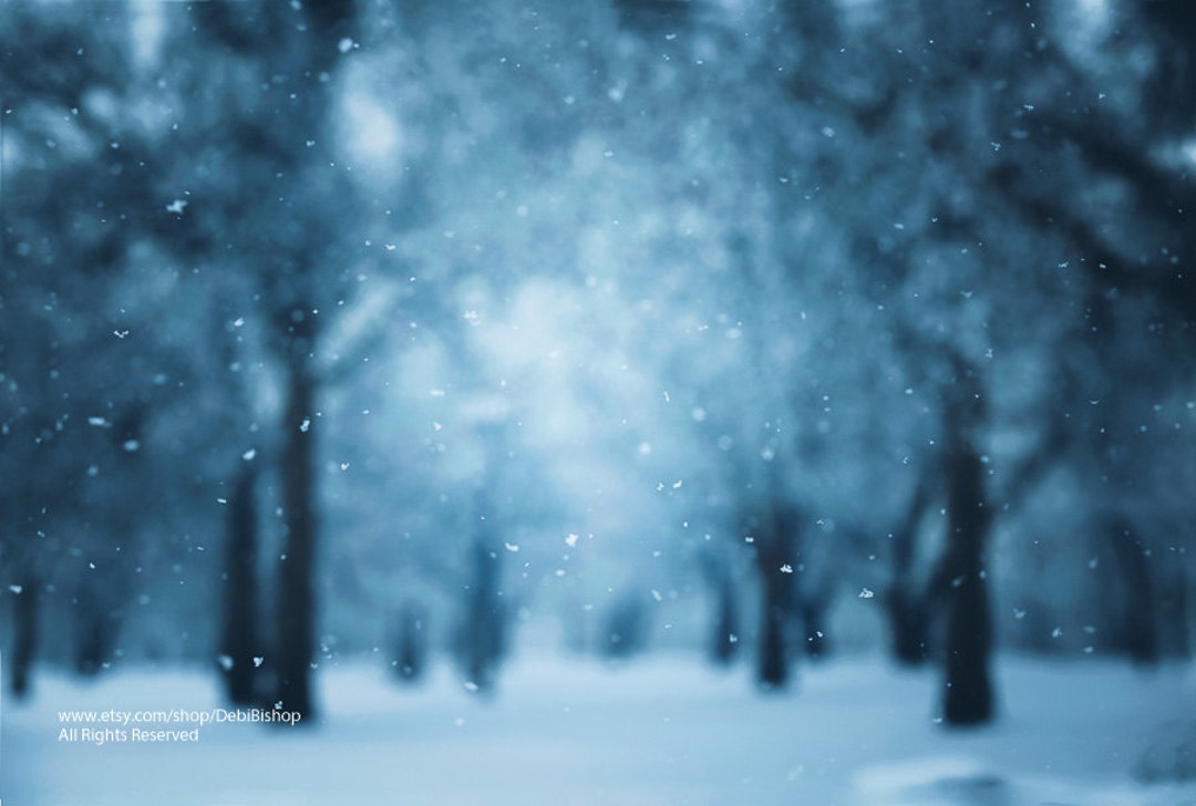 Winter Blue Forest Trees Through the Falling Snow home Decor - Etsy
