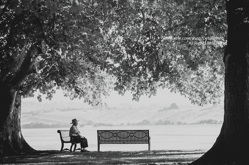 The Bench Man -elderly Man Sitting on Park Bench -fine Art Black ...