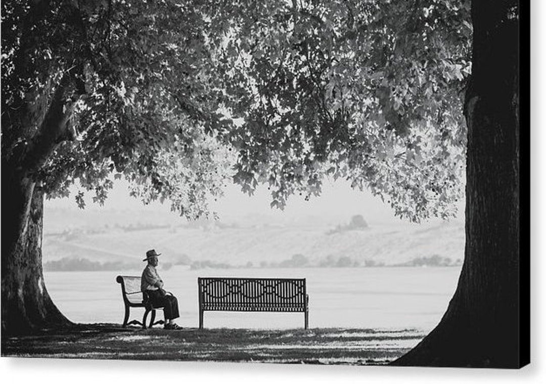 The Bench Man -elderly Man Sitting on Park Bench -fine Art Black and ...