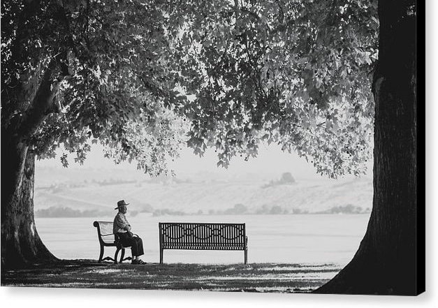 The Bench Man -elderly Man Sitting on Park Bench -fine Art Black and ...