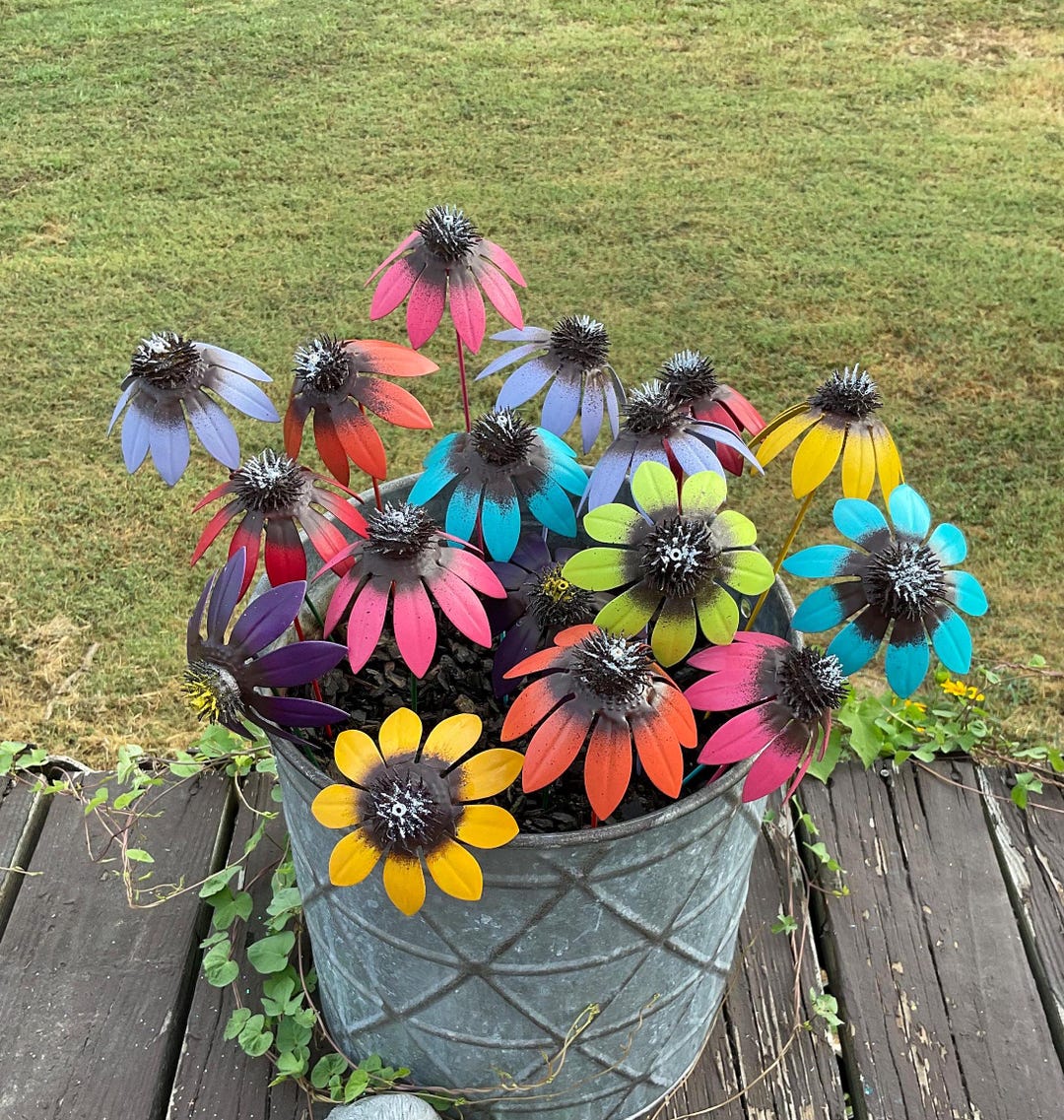 ONE 13 CONEFLOWER Assorted Colors Flower Pot Stake/blue Orange Red Lime ...