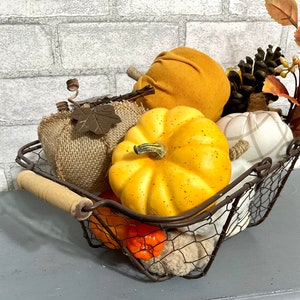 Chicken Wire Basket of Pumpkins Table Top Fall Decor Farmhouse Dining ...