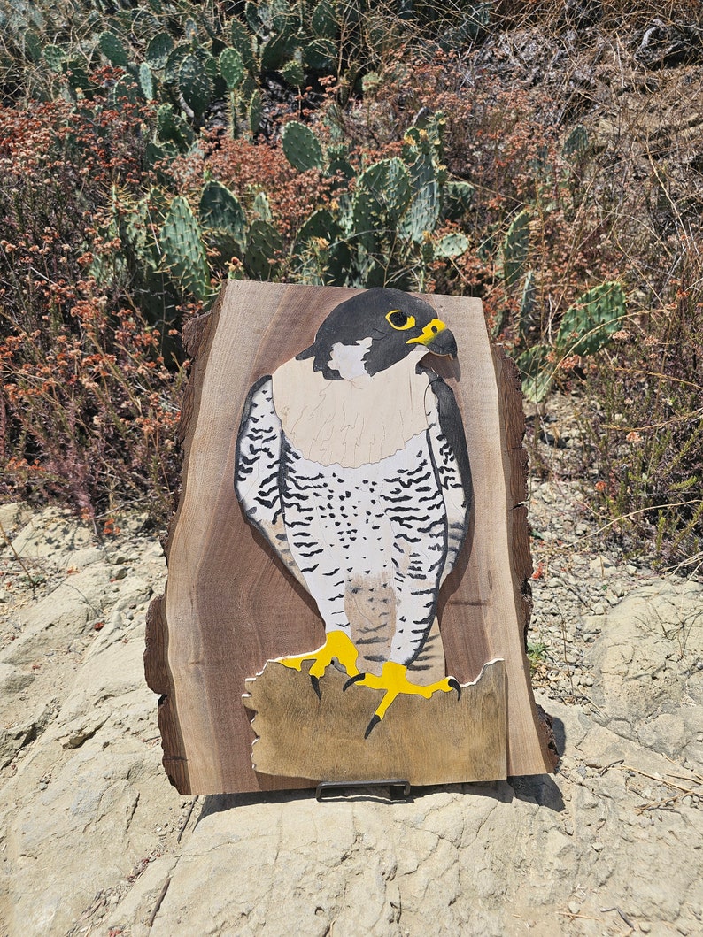Peregrine Falcon Wood Cutout - Scroll Saw Artwork - Etsy