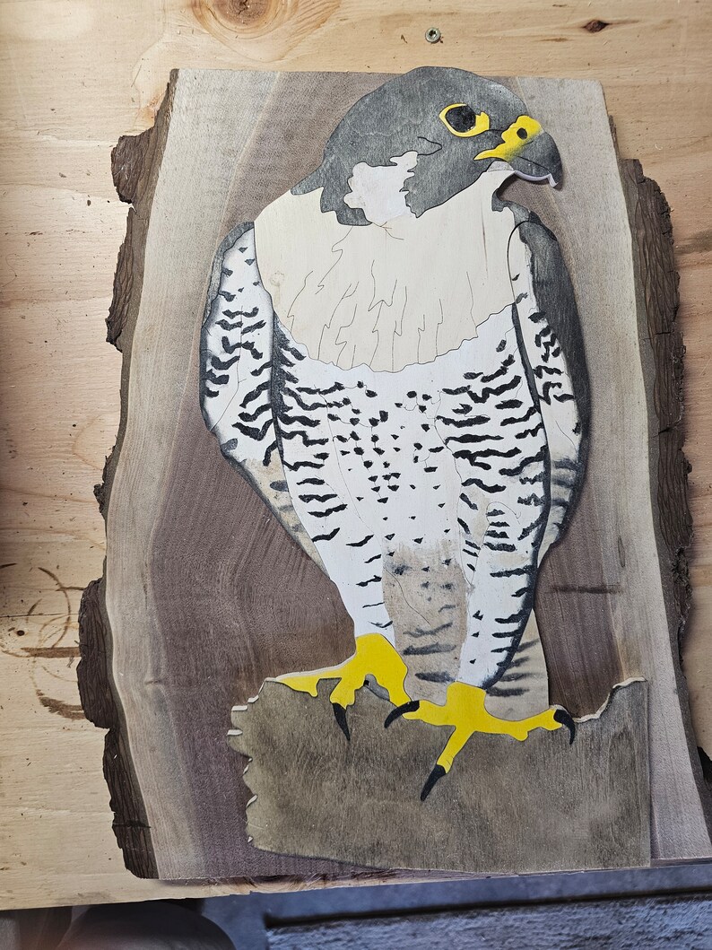 Peregrine Falcon Wood Cutout - Scroll Saw Artwork - Etsy