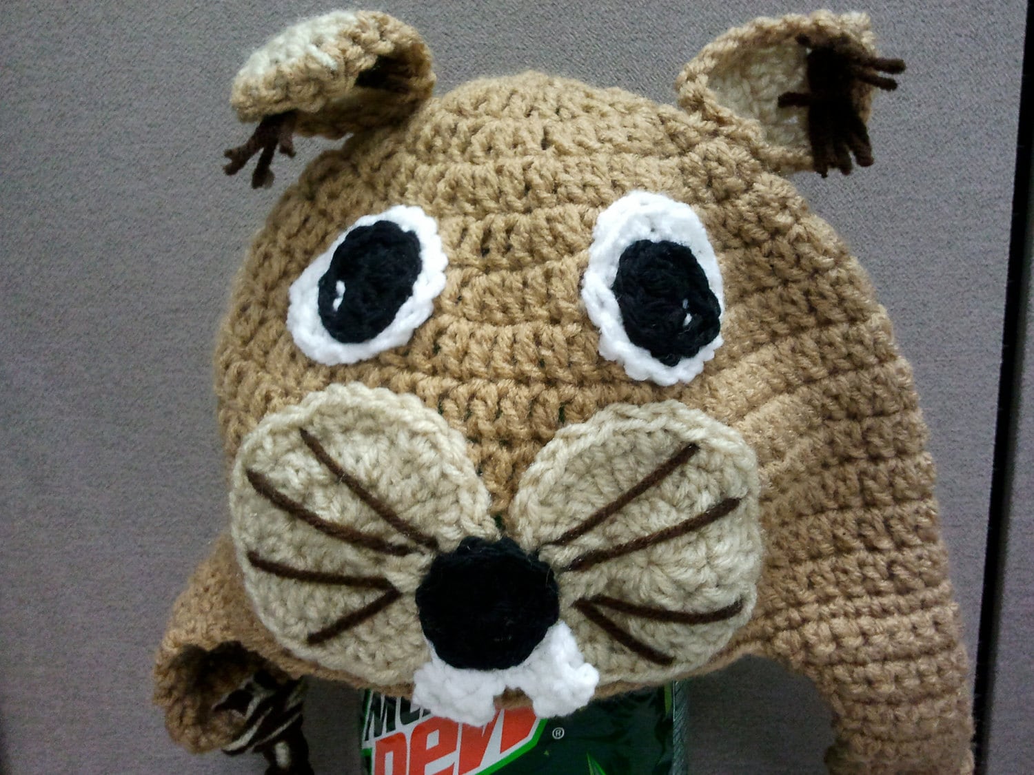 Squirrel Beanie Squirrel Hat Woodland Creatures Take Home | Etsy