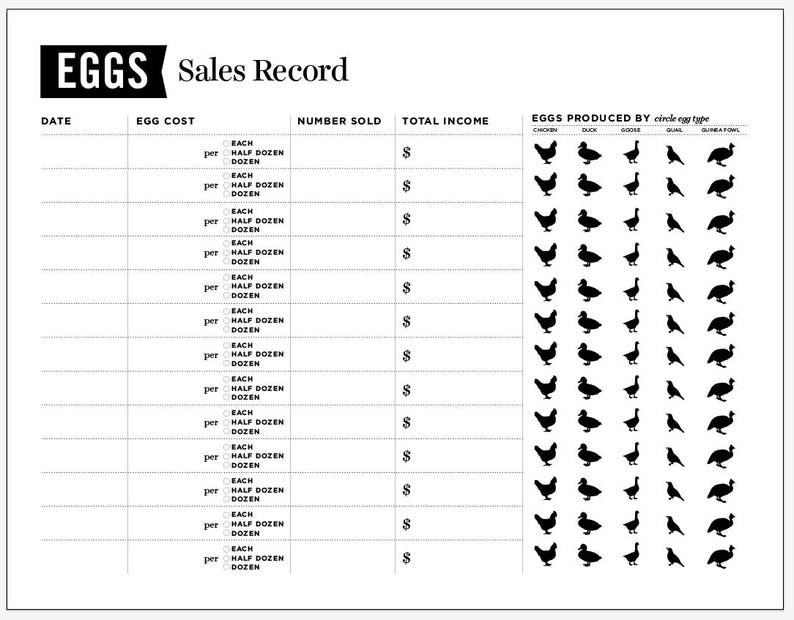 Egg Sales Record // Chicken Duck Goose Quail Guinea Fowl Egg Log ...