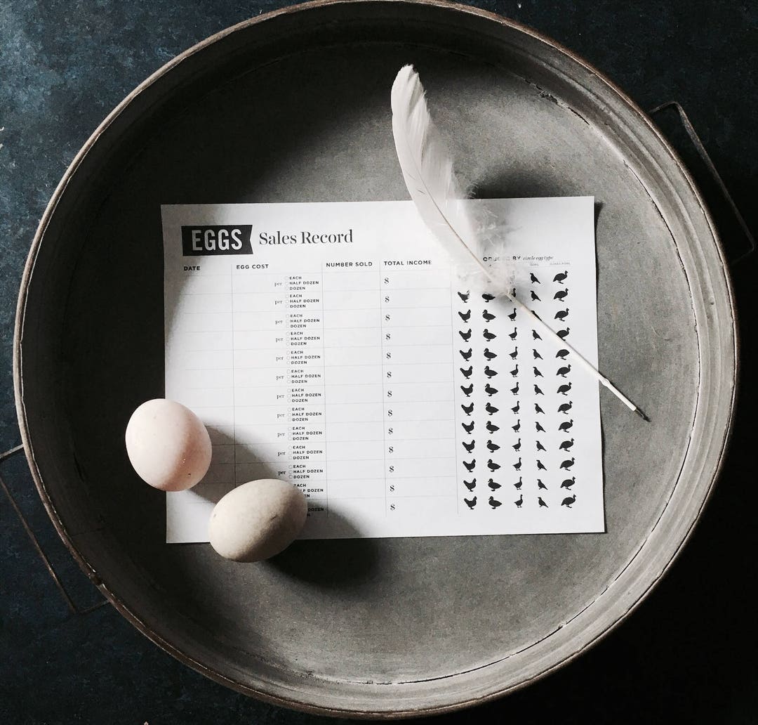 Egg Sales Record // Chicken Duck Goose Quail Guinea Fowl Egg Log ...