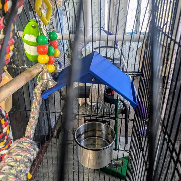 Swivel Bird Feeders - Etsy