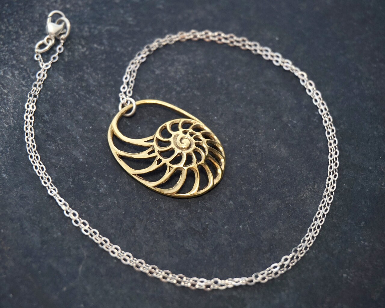 Nautilus Necklace - Ammonite Pendant - Fibonacci Spiral - Sea Shell ...