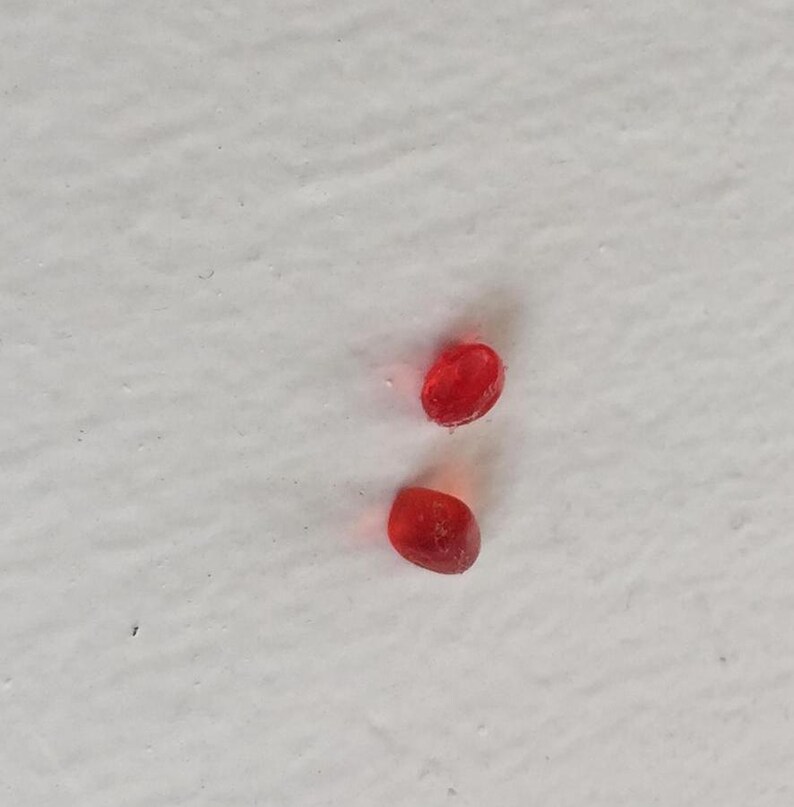 Rare Red Sea Glass Gem, Prince Edward Island, Jewelry Making - Etsy