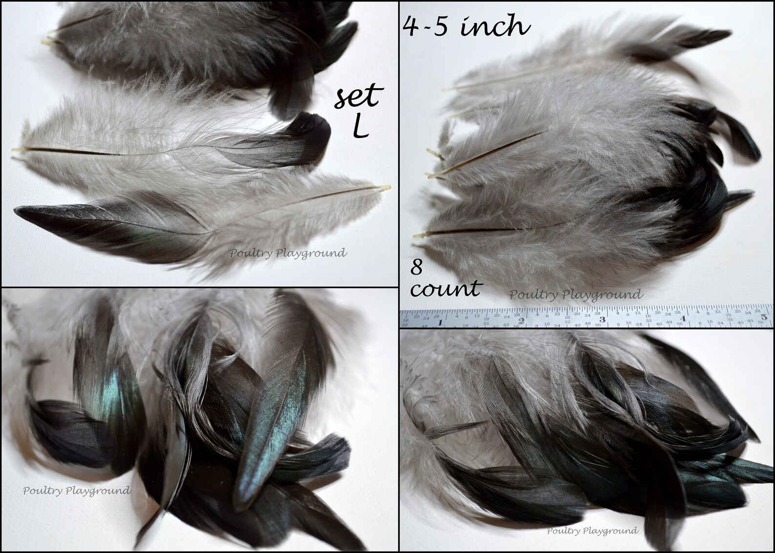 Rooster Lesser Sickle Tail Feathers Black Iridescent Taco - Etsy