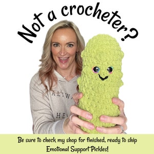 Emotional Support Pickle || Crochet Pattern by Lilylou Creations ...