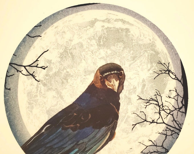 Moon Bird Patch 8 Iron On - Etsy