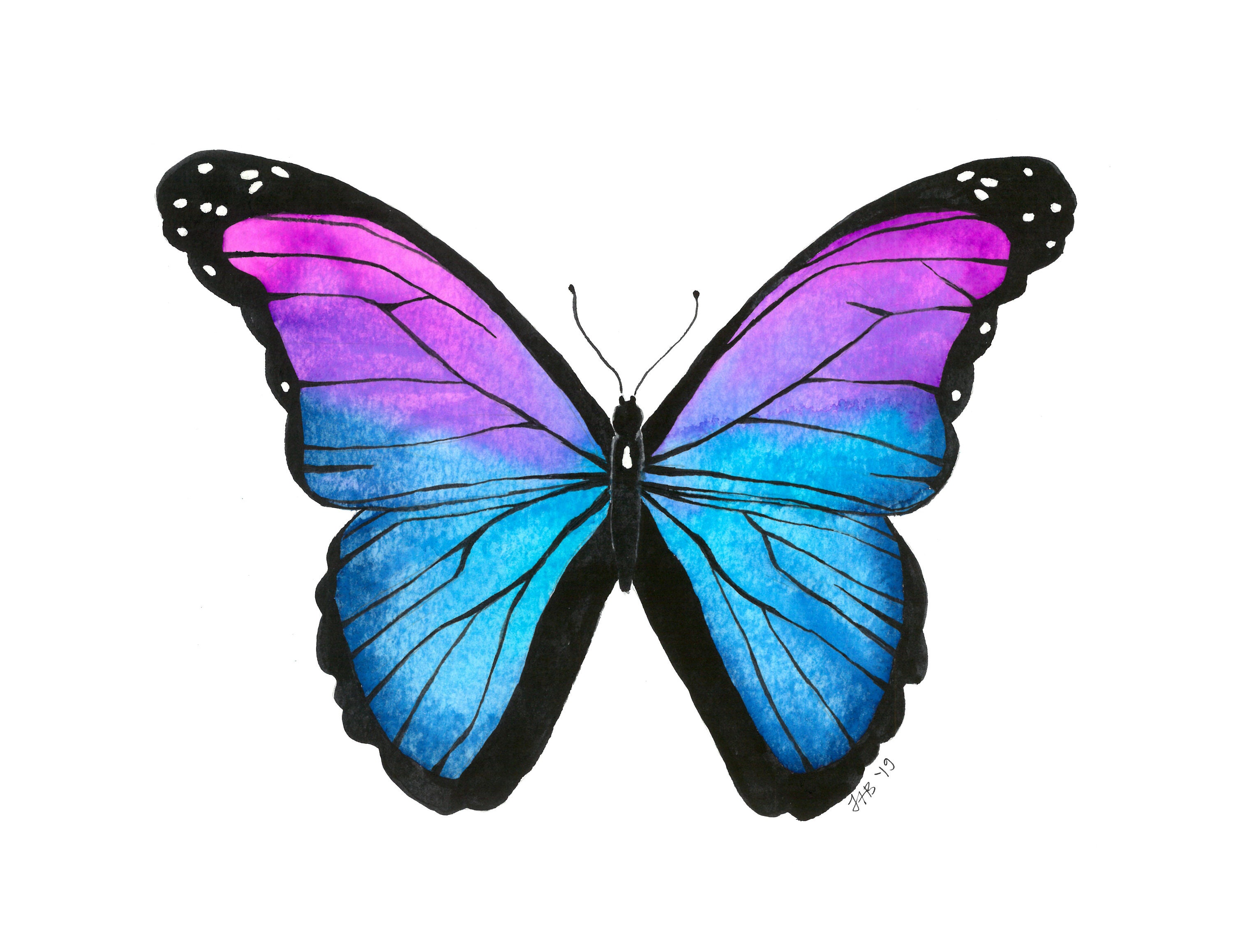 Purple Fade To Blue Butterfly 8 1 2 X 11 Watercolor Print Etsy