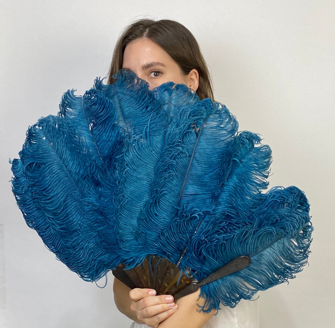 Vintage 1920s Celluloid & Feather Fan DANCE Fan - Etsy