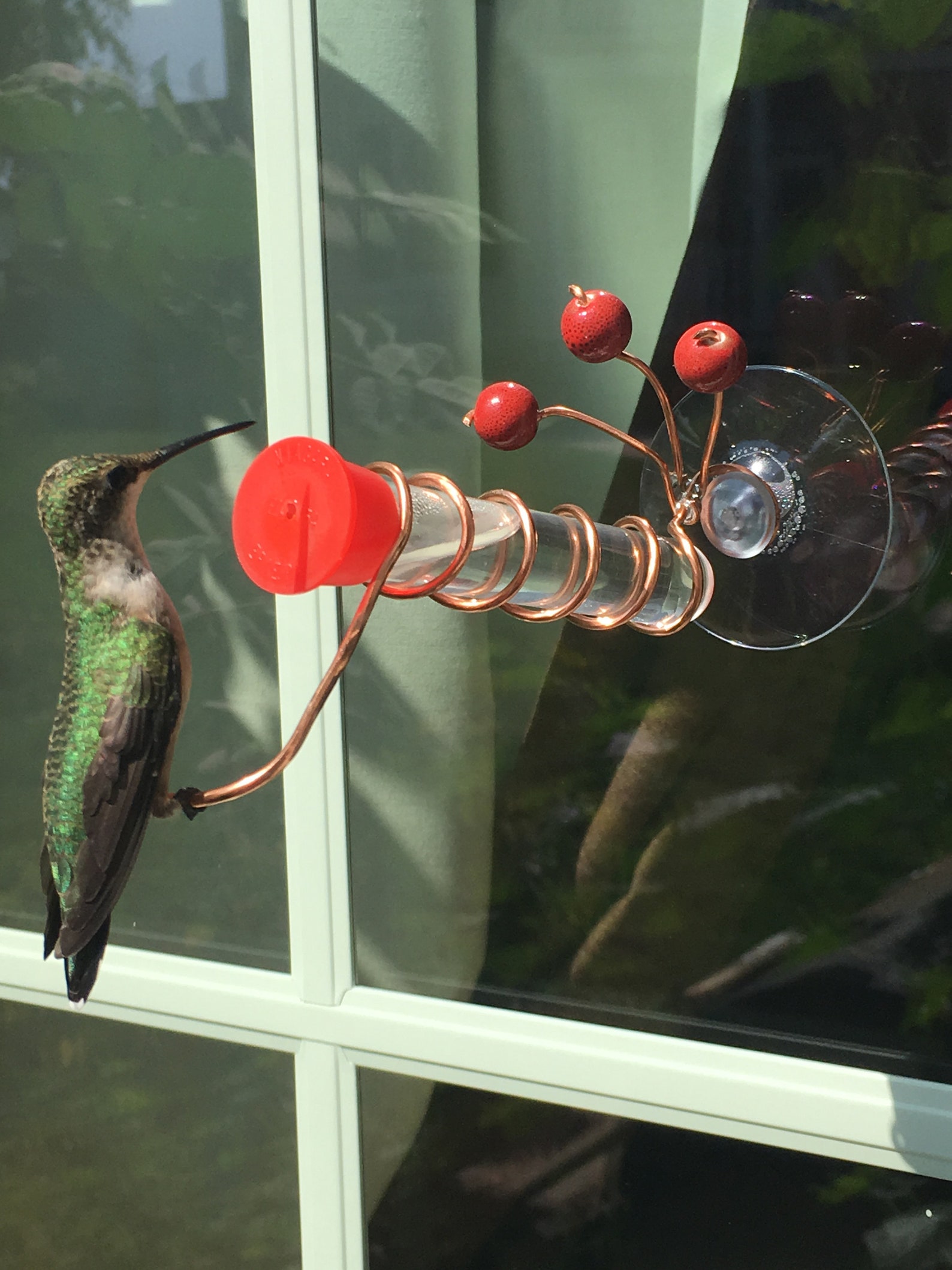 Window Hummingbird Feeder - Etsy