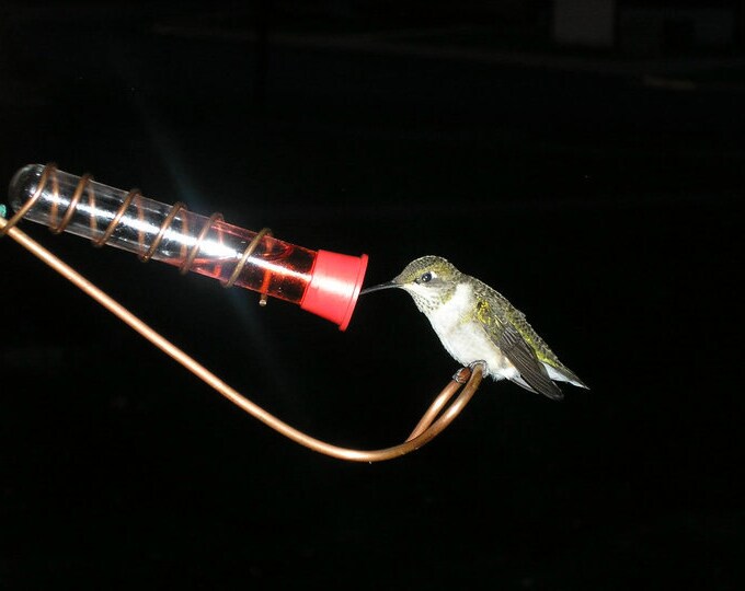 Teeter Totter Hummingbird Feeder - Etsy
