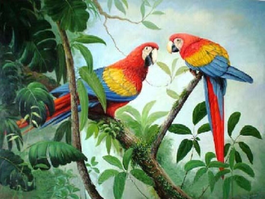 Hand Painted Macaw Oil Painting on Canvas, Modern Art - Etsy