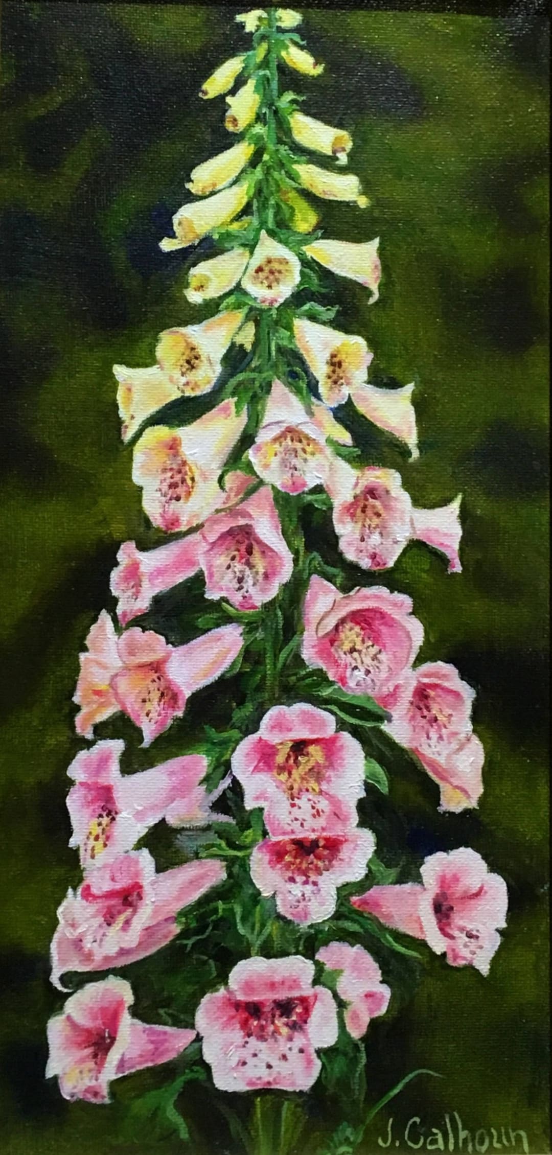 Fine Art 14 X 7 Original Oil Painting "foxglove" - Etsy