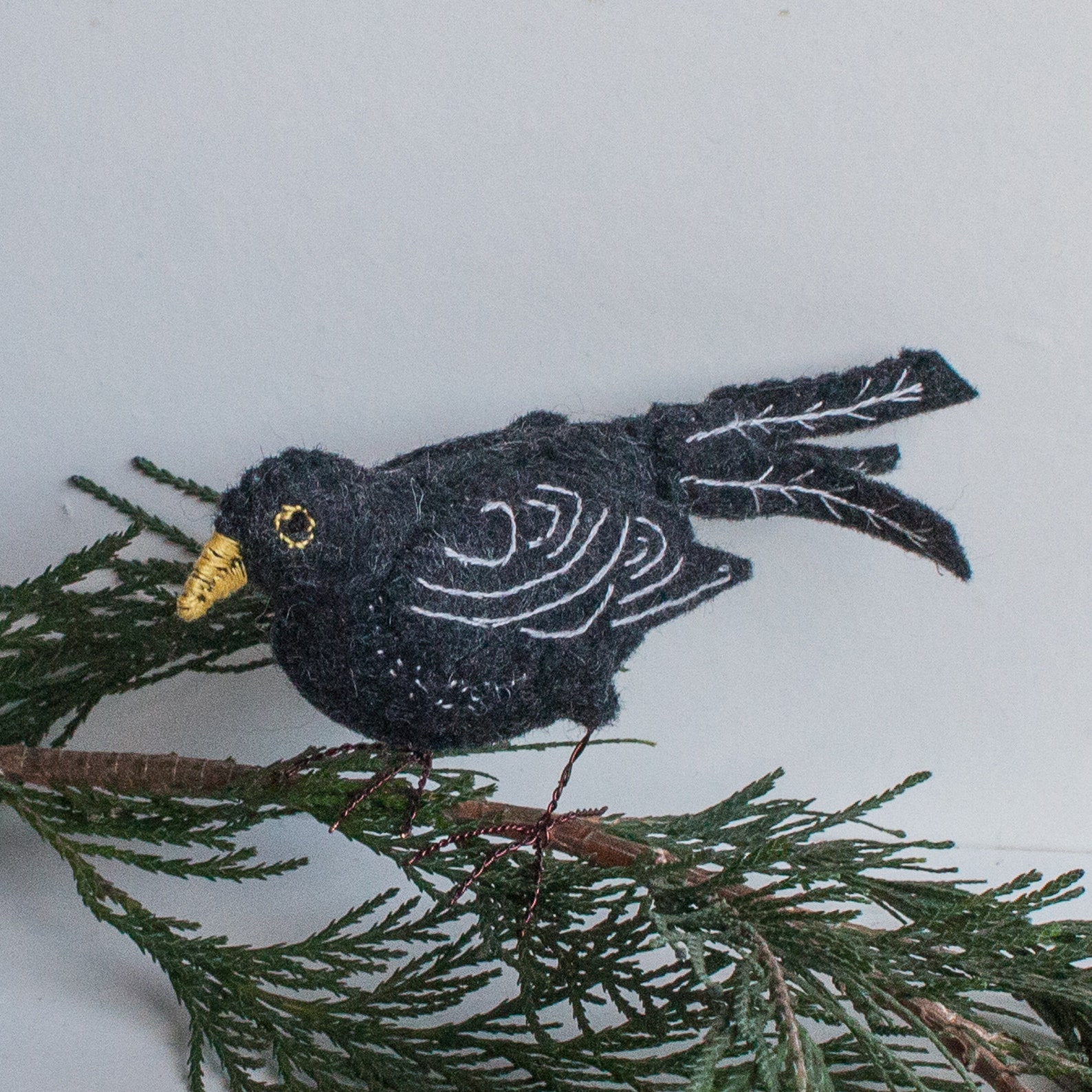 Four Colly/calling Birds - the Blackbird - Twelve Days of Christmas ...