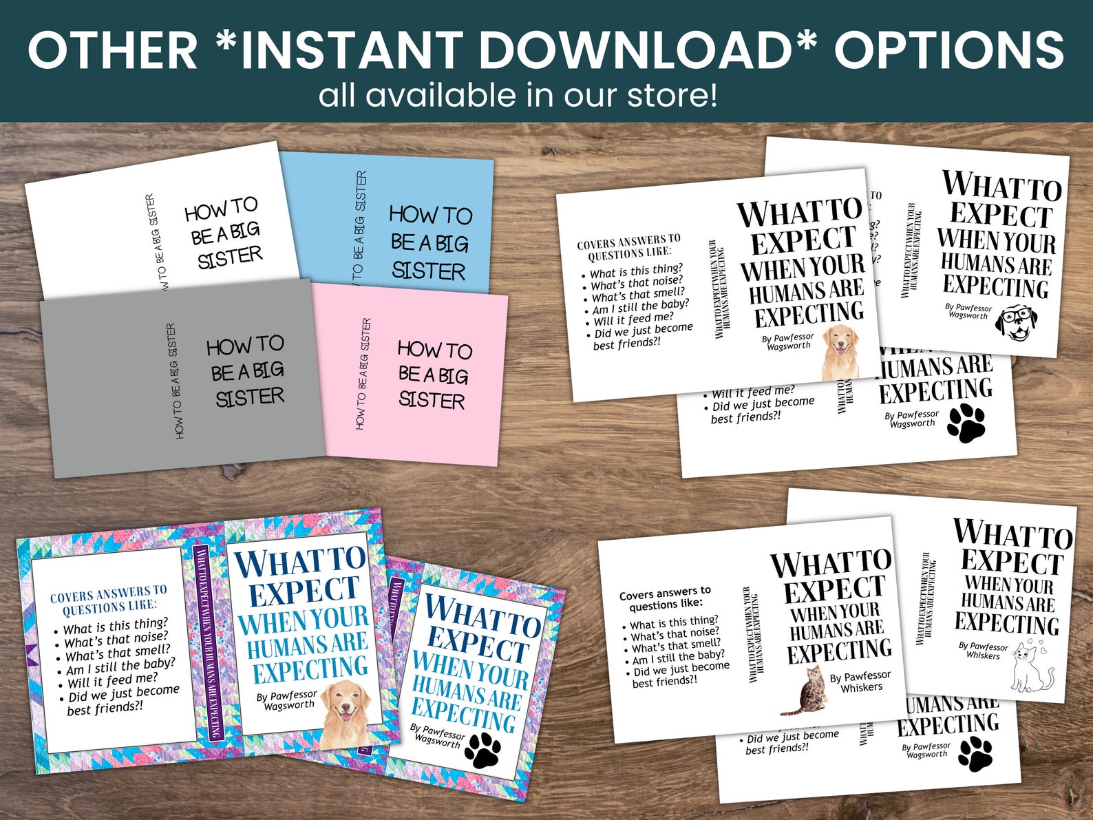 INSTANT DOWNLOAD Digital How to Be A Big Brother Fake Dust Jacket ...
