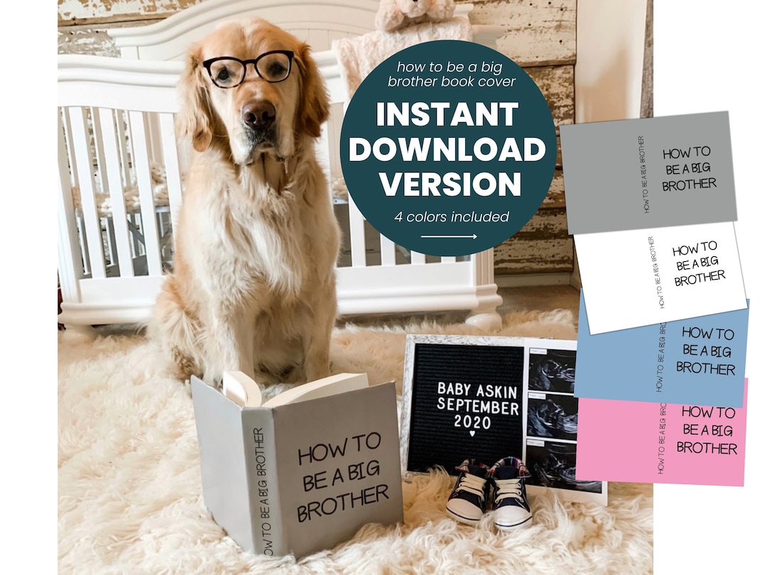 INSTANT DOWNLOAD Digital How to Be A Big Brother Fake Dust Jacket ...