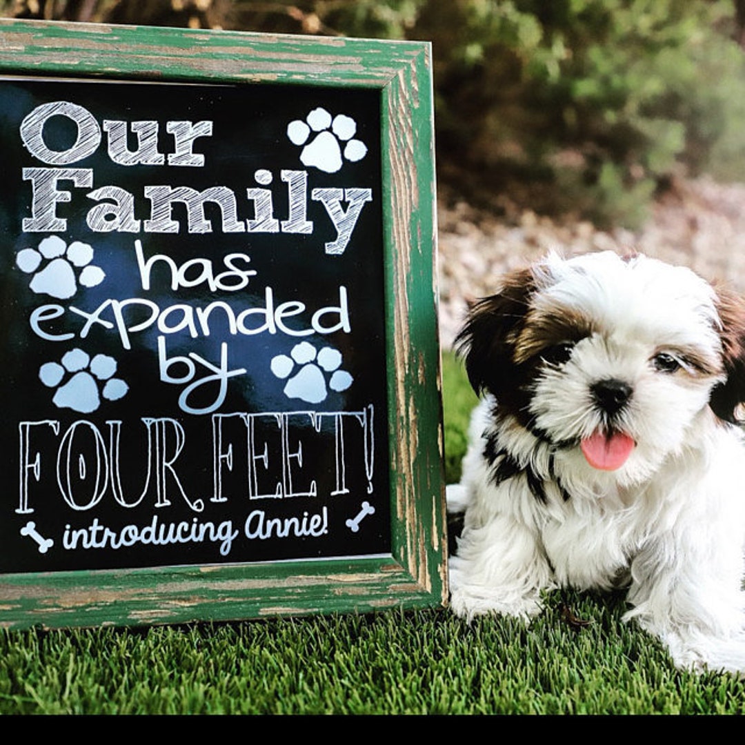 New Puppy Announcement - PERSONALIZED Our Family Has Expanded by Four ...