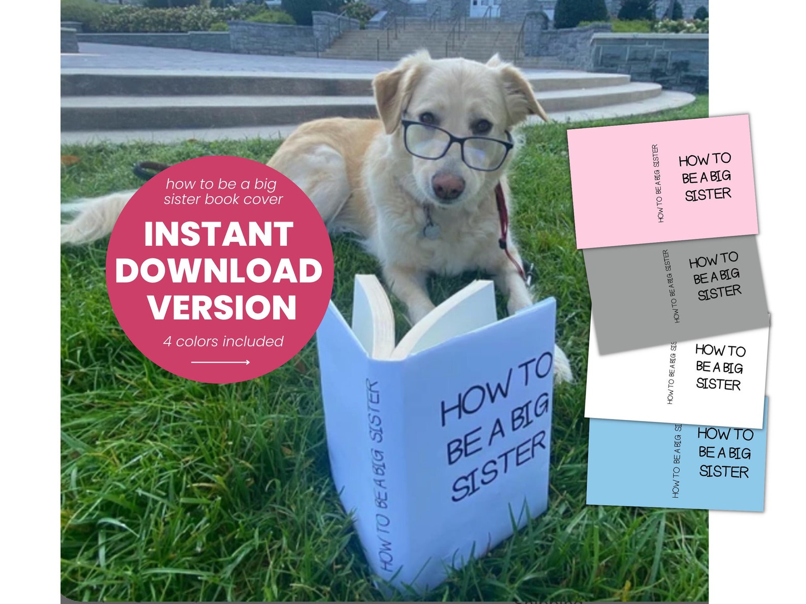 INSTANT DOWNLOAD Digital How to Be A Big Sister Fake Dust Jacket ...