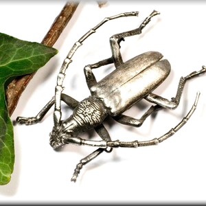 Pendant "long Horned Beetle, Big" Made of 925 Silver - Etsy