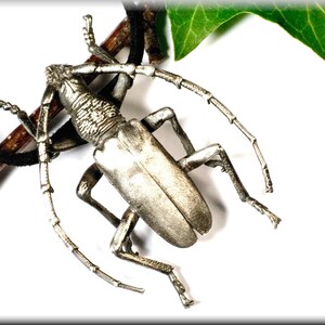 Pendant "long Horned Beetle, Big" Made of 925 Silver - Etsy