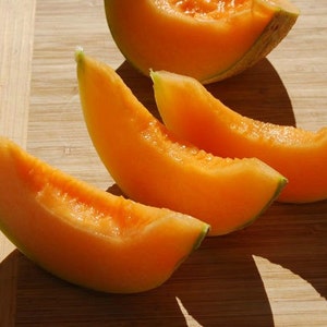 Tuscany Melon, Italian Heirloom, 10 Seeds, Sweet Fragrant Cantaloupe ...