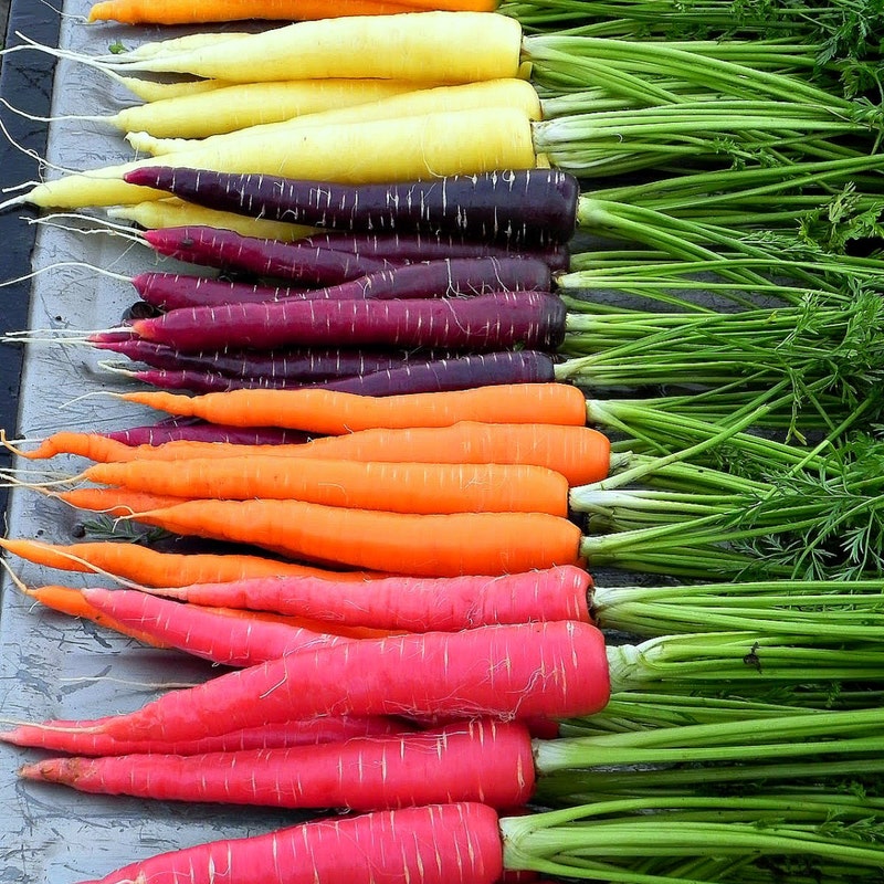 Rainbow Carrots - Etsy